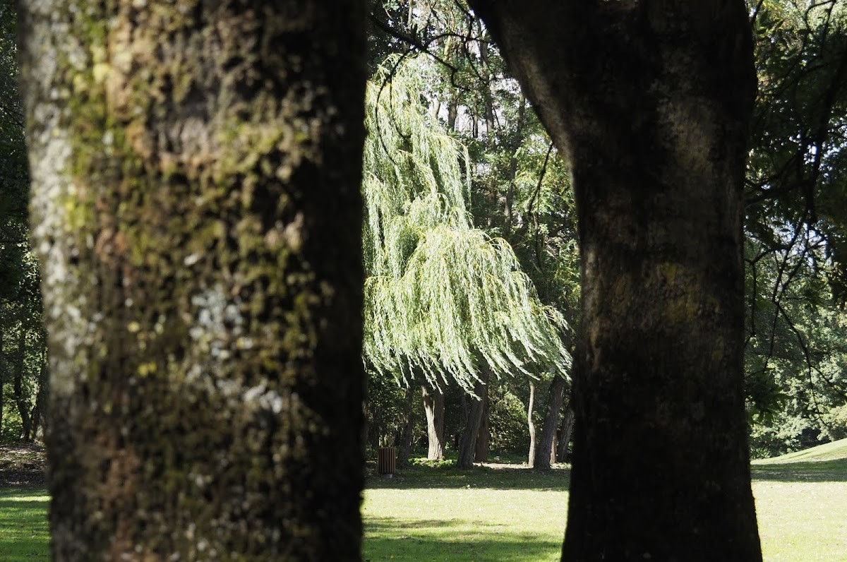 Classement et palmarès des villes de France selon vos critères - Ville ...