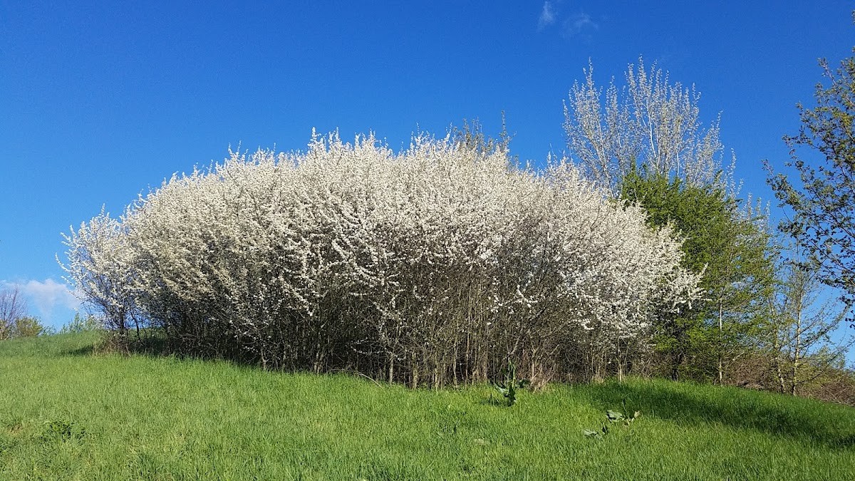 Classement et palmarès des villes de France selon vos critères - Ville ...